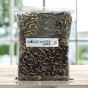 MagicWater Supply Crinkle Cut Paper Shred Filler (2 LB) for Gift Wrapping & Basket Filling - Black & Gold