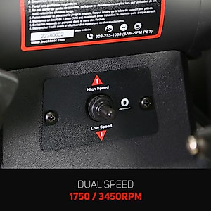 BUCKTOOL Dual Speed 1" x 42" Belt Disc Sander Combo, Bench Knife Sharpener with Large Work Table, Professional Benchtop Belt Sander with Direct-drive 4.8A Brushless Motor for Metalworking, BD1801DS