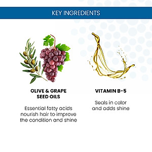 Aloxxi Leave In Conditioner Conditioning Detangler, 10.1 Fl Oz