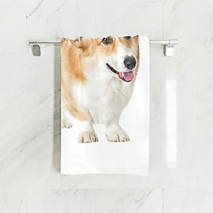 ALAZA Microfiber Gym Towel Welsh Corgi Dog, Fast Drying Sports Fitness Sweat Facial Washcloth 15 x 30 inch
