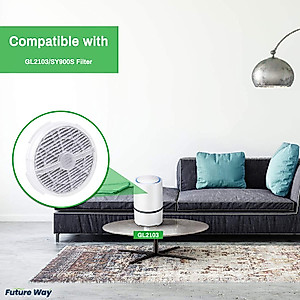 Future Way Replacement Filter Compatible with GL2103, LTLKY 900S, SY900S Air Purifier, JINPUS Houzetek WSTA Meleden DHS COSTWAY, 2-Pack