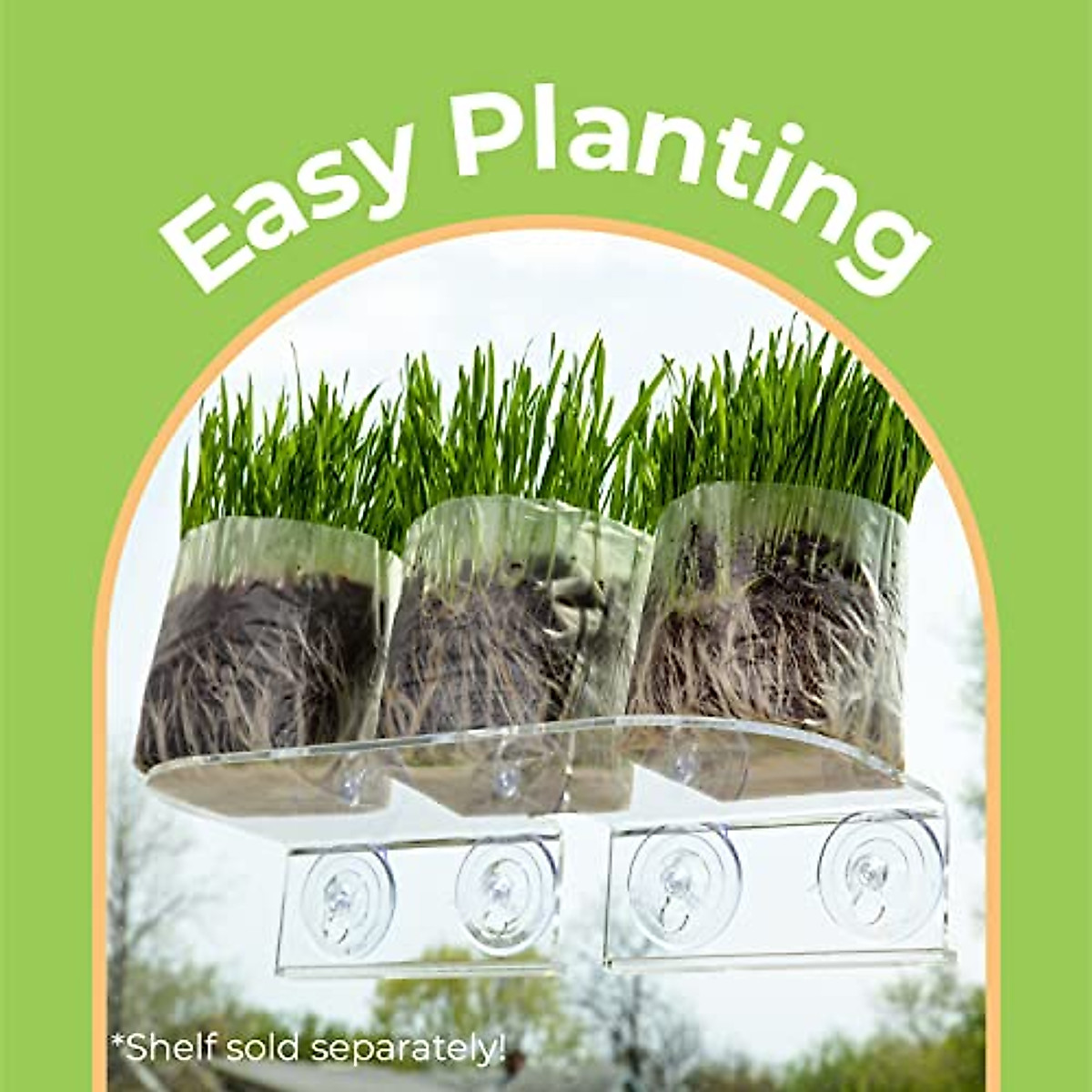 Window Garden Kit Cat Grass for Indoor Cats (3 Pack) - Easy to Grow Kitty Grass Kit, The Purr-FECT Catnip Growing Kit with Planter, Plant Kit Includes Organic Non GMO Wheatgrass Seed and Fiber Soil.