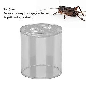 Acrylic Mini Reptile Tank Habitat Cricket Terrarium Reptile Breeding Case Circular with Top Cover for Spider Small Animals
