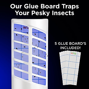 WizTrap 1 Large Plug in Fruit Fly Traps for Indoors! Flying Insect Trap with 21 UV LED Bulbs & 5 Glue Board Refills! Gnat Trap Used as a Fruit Fly Killer, Indoor Fly Trap, Mosquito Trap, Gnat Killer!