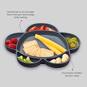 grabease Silicone Suction Plate for Baby & Toddler Self-Feeding, 6-Section Dish With Stay-Put Grip, BPA and Phthalates-Free, Dishwasher and Microwave Safe, Gray
