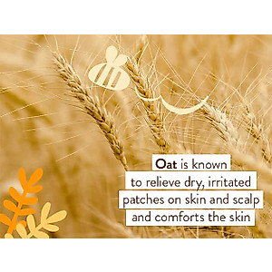 Babo Botanicals Moisturizing Lotion - Face & Body Plant-Based Lotion for Babies, Kids & Adults with Sensitive or Dry Skin - with Colloidal Oatmeal, Organic Calendula & Shea Butter - 8 fl. oz.