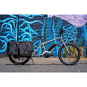 Portland Design Works | Kepler E-bike Headlight | Bosch E-bike System Plug and Play, Black, Fits e-bikes with fork crown hole for mounting