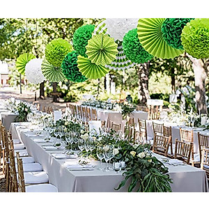 Green Hanging Paper Party Decorations, Round Paper Fans Set Paper Pom Poms Flowers for Birthday Wedding Graduation Baby Shower Events Accessories