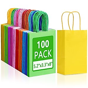 TOMNK 100pcs Gift Bags, 10 Colors Goodie Bags, 5.2"x3.3"x8" Party Favor Bags with Handles for Birthday Party Baby Shower Shopping and Party Supplies