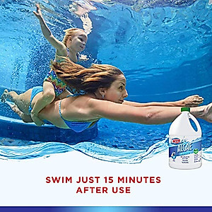 HTH 67034 Algae Guard Swimming Pool Algaecide Cleanser, 1 gal