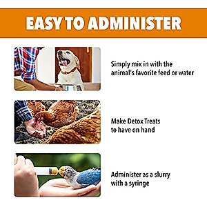 VetDtox 1qt Activated Charcoal Powder for All Kinds of Pets & Livestock, Dog, Cat, Chicken, Horses and More - for Diarrhea, Gas Relief, Liver Support