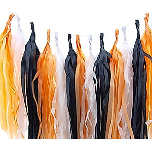 Halloween Garland, Orange, Black & White October Party Tassels (Set of 15) - Spooky Party Supplies, Halloween Tissue Paper Tassel, Halloween Birthday Party Decorations Banner Backdrop