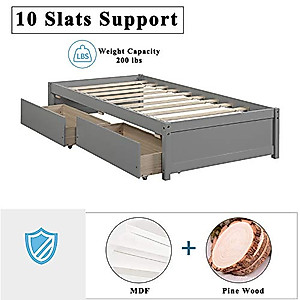 AOOSWEER Twin Platform Bed Frame with 2 Storage Drawers, Wood Twin Bed Frames for Kids Toddler Girls Boys, 10 Slats Support, No Box Spring Needed, Easy Assembly ( Twin, Dark Grey)
