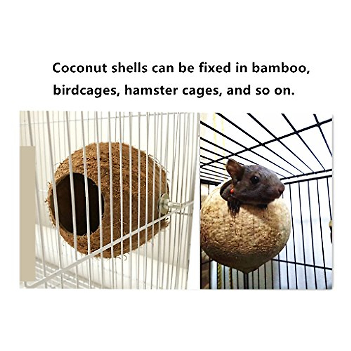 Hypeety Pet Bird Breeding Nest Coconut House Swing Ladder Toys Parrot Parakeets Finches Hamster House Natural Nest Lovebird Cage Hanging Swing Perch (C:Coco Cage Perch Toy)