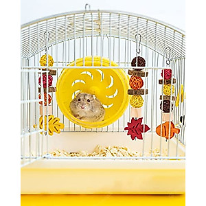 Xylolfsty Fall Themed Chew Toys for Rabbit Dwarf Hamster Bunny Guinea Pig Chinchilla Gerbil Pet Rat Small Animals Cage Hanging Teeth Grinding Accessories Autumn Thanksgiving Gifts 3PCS