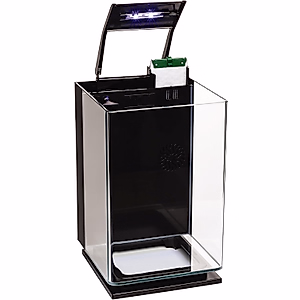 GloFish Aquarium Kit Fish Tank with LED Lighting and Filtration Included