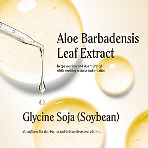 Well's Oil Aloe Vera Oil - Hydrating, Strengthening & Nourishing | Hair Growth & Sunburn Relief | All Natural | For Skin and Hair Care (2 Fl Oz / 60 ml)