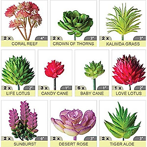 Housenior 24 Mini Artificial Succulent Plants Unpotted : Fake Succulents Picks Realistic Plastic Cactus Stems for Terrarium Bulk Small Faux Assorted Arrangements Flocked Greenery