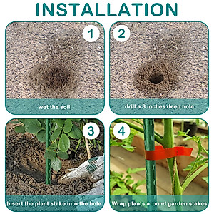 HOOPLE 30Pack Garden Stakes Sturdy Plant Sticks/Support, Tomato Stakes, Garden Stakes, Steel Plant Stakes for Outdoor Climbing Plants, Plant Sticks Support for Tomato Beans Potted (4FT 30PACK)