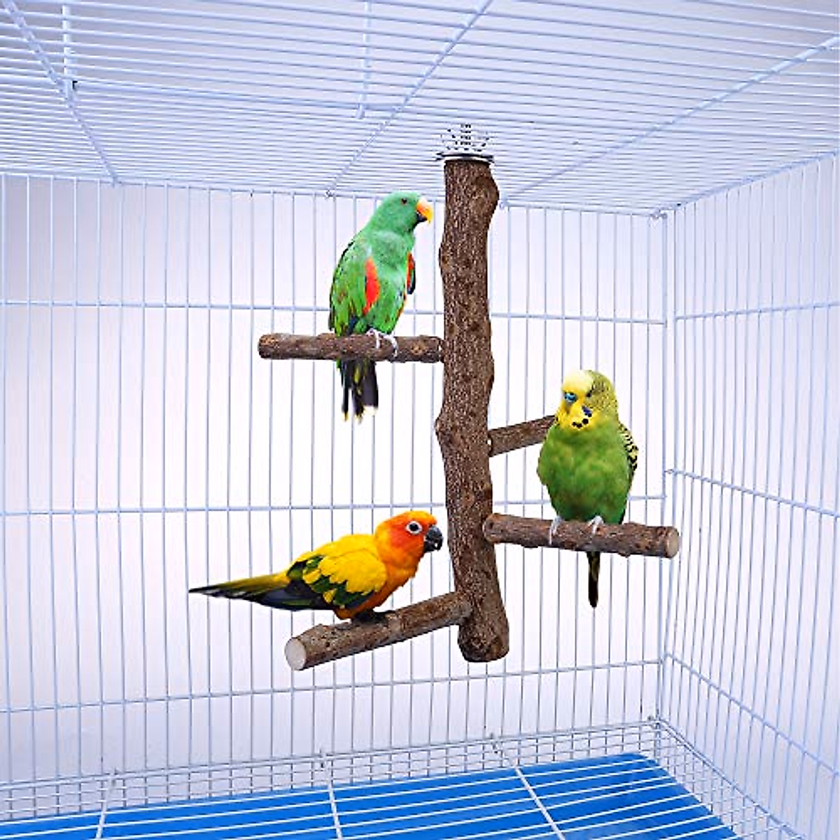 Filhome Bird Perch Stand Toy, Natural Wood Parrot Perch Bird Cage Branch Perch Accessories for Parakeets Cockatiels Conures Macaws Finches Love Birds (M: 10" Length)