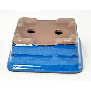 6" Rectangular Blue Bonsai/Succulent Pot + Soil + Tray + Rock + Mesh Kit