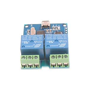 NOYITO 2-Channel Micro USB Relay Module USB Smart Control Switch USB Intelligent Control Switch (2-Channel Micro USB)