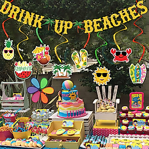Summer Beaches Party Decorations Supplies - NO DIY- Summer Beaches Banner Decoration Hanging Swirls - Hawaii Summer Beach Themed Birthday Baby Shower Party Hanging Decorations