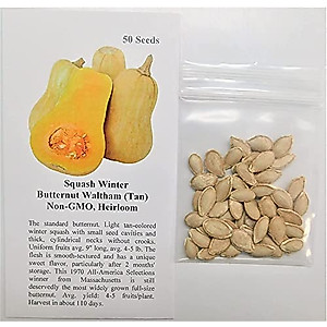 David's Garden Seeds Squash Winter Butternut Waltham FBA-00016 (Tan) 50 Non-GMO, Heirloom Seeds