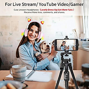 Kids Headphones, Wireless Cat Ear LED Light Up Bluetooth Headphones for Girls w/Microphone, Over On Ear Headset for School/Kindle/Tablet/PC Online Study Birthday Xmas Gift (Pink)