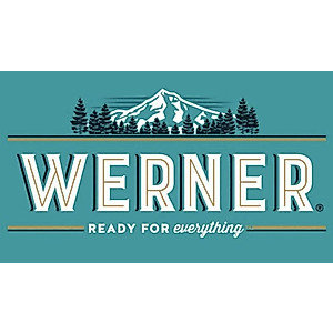 Werner Premium Steak Bites All-Natural Half Pounder Bag – 8 Ounce Resealable Bag of Premium Steak Jerky Bites Smoked Beef Snack (Honey Glazed)