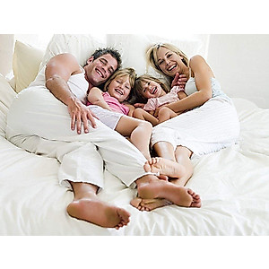 Twin Sleeper Sofa Fitted Sheet 100% Egyptian Cotton - Easy to fit - Luxurious Finish, Highly Durable, Breathable& Comfortable Sheets- 600 Thread Count Elephant Grey Stripe