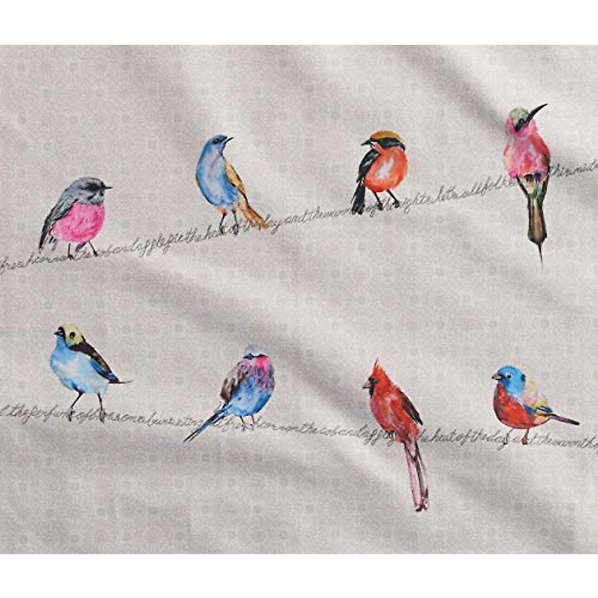 Maison d' Hermine Birdies On Wire 100% Cotton Set of 2 Multi-Purpose Kitchen Soft Absorbent Dish Towels | Tea , Bar Towels (20 Inch by 27.50 Inch)