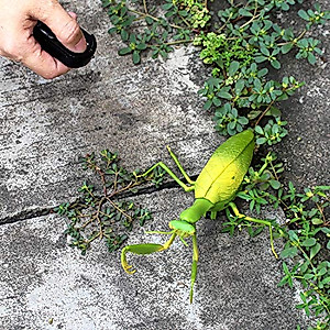 Tipmant RC Praying Mantis Toy IR Remote Control Animal Fake Car Vehicle Electric for Kids Birthday