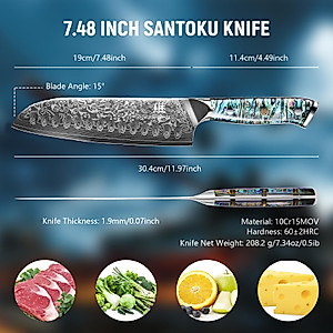 KEIZOKU Damascus Steel Santoku Knife 7 Inch, Japanese Professional 10Cr15MOV Blade with Hand Forged Hammer Pattern, Ultra Sharp Kitchen Knife with Abalone Shell Ergonomic Handle