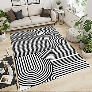 Fashion Mid-Century Geometric Art Non Slip Rugs, Simple Black and White Lines Arch Printed Area Rug, Low Pile Foldable Bedroom Mat for High Traffic Area Living Room Hallway Apartmen,5.3x6.6ft