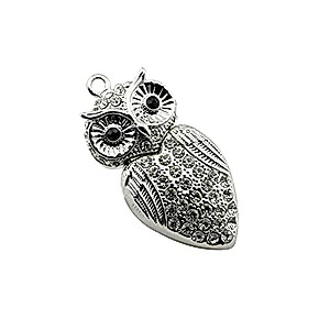 Civetman USB Flash Drive 128GB Jewelry Crystal Animal Owl Design Pendrive USB 2.0 Memory Stick Thumb Drive USB Stick - Silver