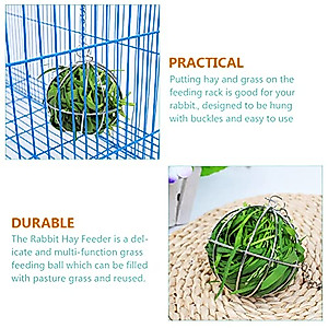 LUOZZY 2Pcs Hanging Bunny Hay Feeding Balls Rabbit Hay Feeder Balls Pet Cage Hay Feeder for Rabbits Bunnys