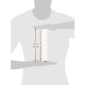 Campbell 1C9-30 Taste/Odor Filter Cartridge