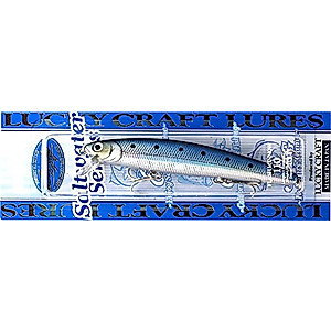 LUCKY CRAFT Flashminnow 110 (714 Metallic Sardine), Surf Fishing Lure