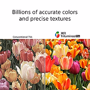 Sony A90J 55 Inch TV: BRAVIA XR OLED 4K Ultra HD Smart Google TV with Dolby Vision HDR and Alexa Compatibility XR55A90J- 2021 Model (Renewed)