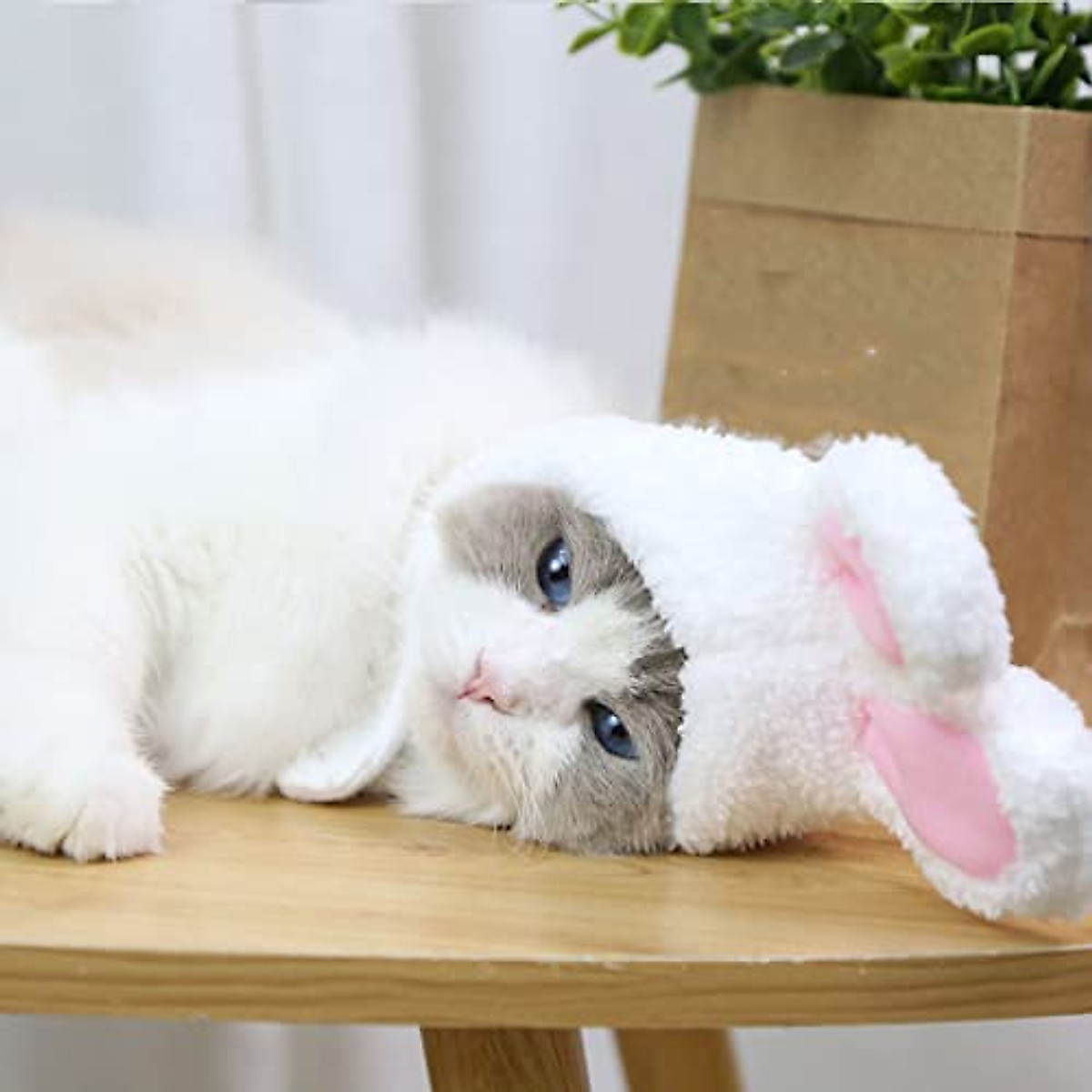 Pet Easter Hat Cute Costume Pet Bunny Rabbit Hat for Cats Small Dogs Easter Party Accessory Headwear for Puppies White