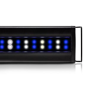 Current USA 48-60" Inch Orbit Marine IC Accessory Add On LED (Fixture & Power Supply) Saltwater Reef Marine Aquarium Light for Fish Tank (4127)