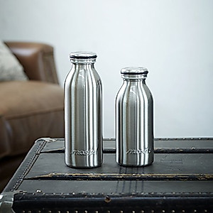 Mosh! DMMB450SV Vacuum Insulated Screw Type Mug Bottle 0.1 gal (0.45 L) Silver