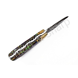 Smart & Sharp Custom Handmade Damascus Steel Hunting Knife/Skinning Knife AA-17216, 17217, 17218, 17219, 17220 and 17221 (Multi Color Resin)