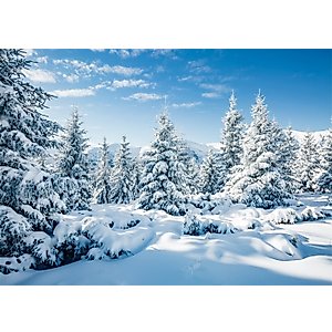 BELECO 7x5ft Fabric Winter Snow Forest Backdrop White Xmas Trees Wintry Scene Alps Photography Background for Christmas New Year Event Party Decorations Banner Holiday Photo Background Photo Props