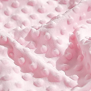 PHF Minky Baby Blanket for Girls, 30x40 Inches Soft Double Layer Baby Blankets with Dotted Backing, Receiving Blanket Bed Throws for Newborn, Infant, Babies, Floral