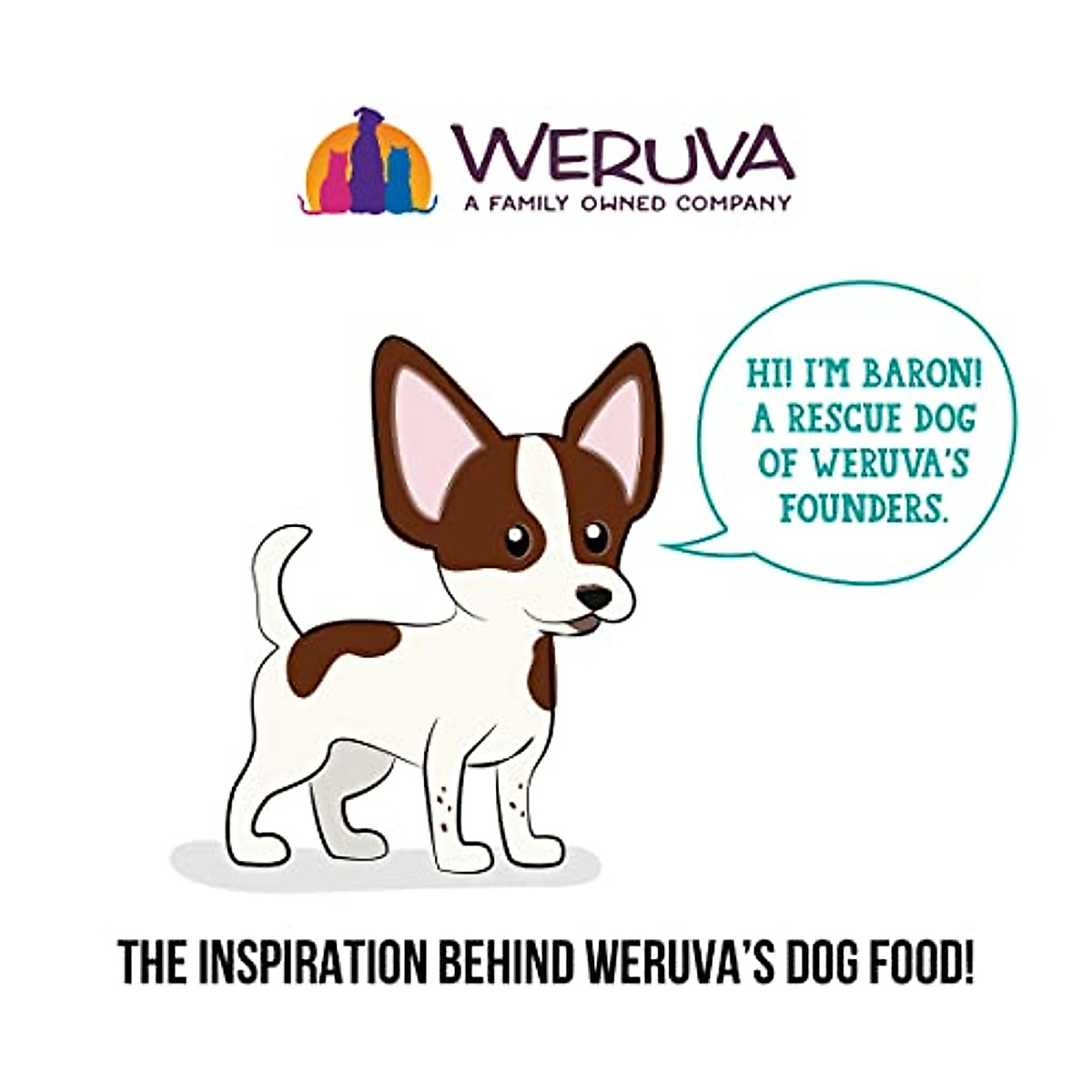 Weruva Dogs In The Kitchen, Variety Pack, Pooch Pouch Party!, Wet Dog Food, 2.8Oz Pouches (Pack Of 12)