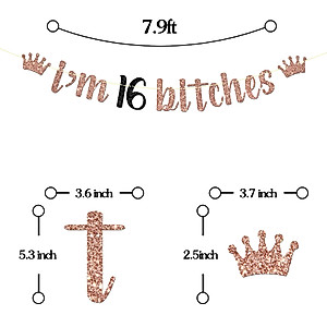 Rose Gold Glitter I’m 16 Bitches Banner - Happy 16th Birthday Banner - Girl's 16th Birthday Party Decorations - Sixteen Years Old Birthday Banner