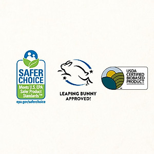 L'AVANT Collective Green Candle | Winter Fir Scented | Non-Toxic & Paraffin Free | Notes of Cedar, Fir, Balsam, Sandalwood | 40 Hours of Burn Time | Long Lasting | Home Decor Aromatherapy Gifts 8oz