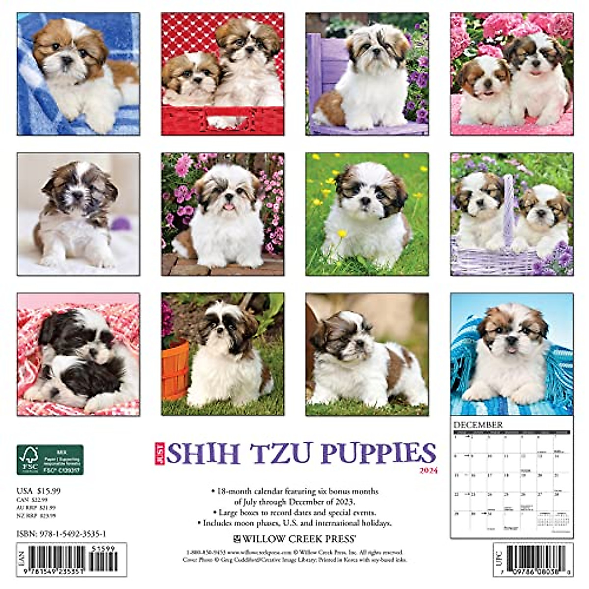 Willow Creek Press Shih Tzu Puppies Monthly 2024 Wall Calendar (12" x 12")